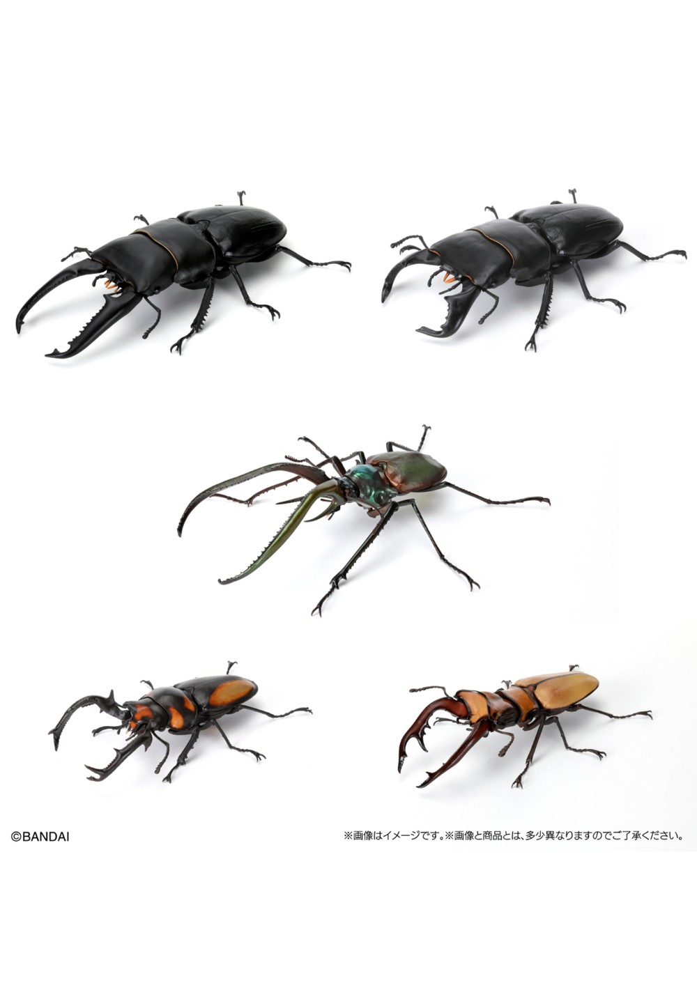 生物大图鉴 锹甲 8 | Hpoi手办维基