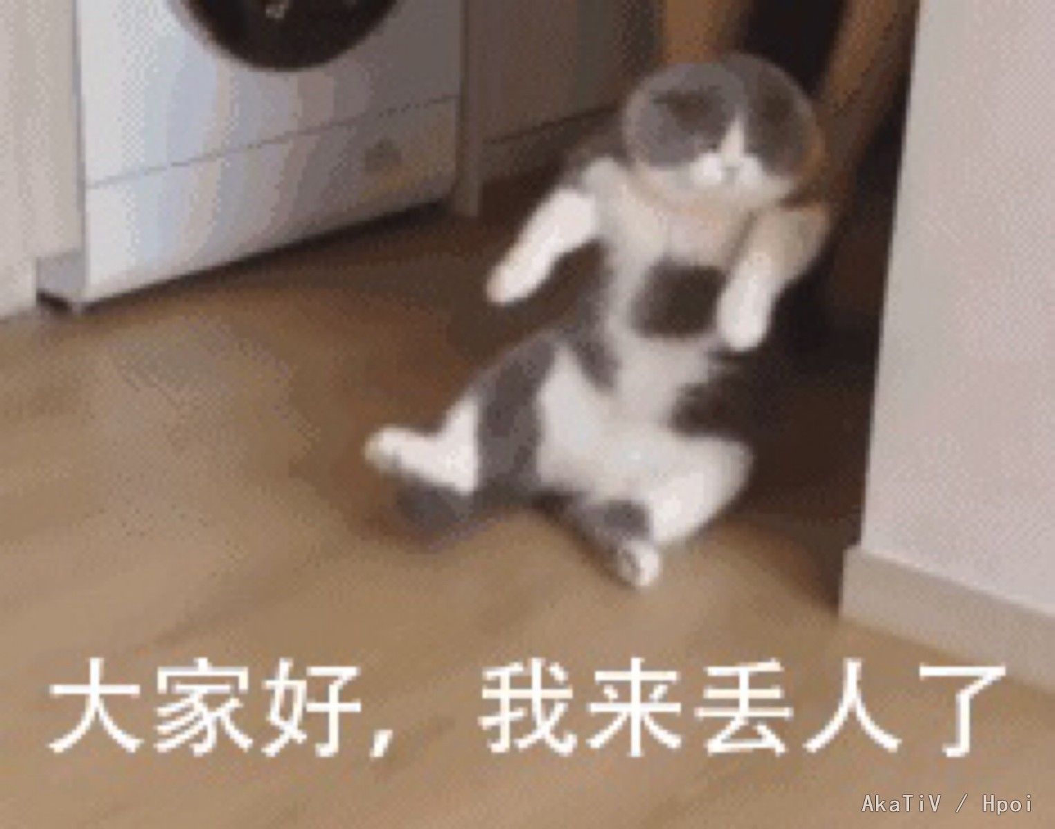 绿川花gk | Hpoi手办维基