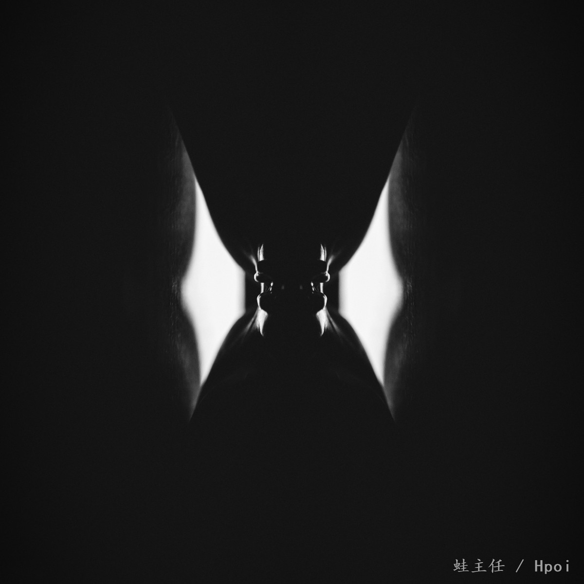 Succubus Stayed Life 樱待冬子 | Hpoi手办维基