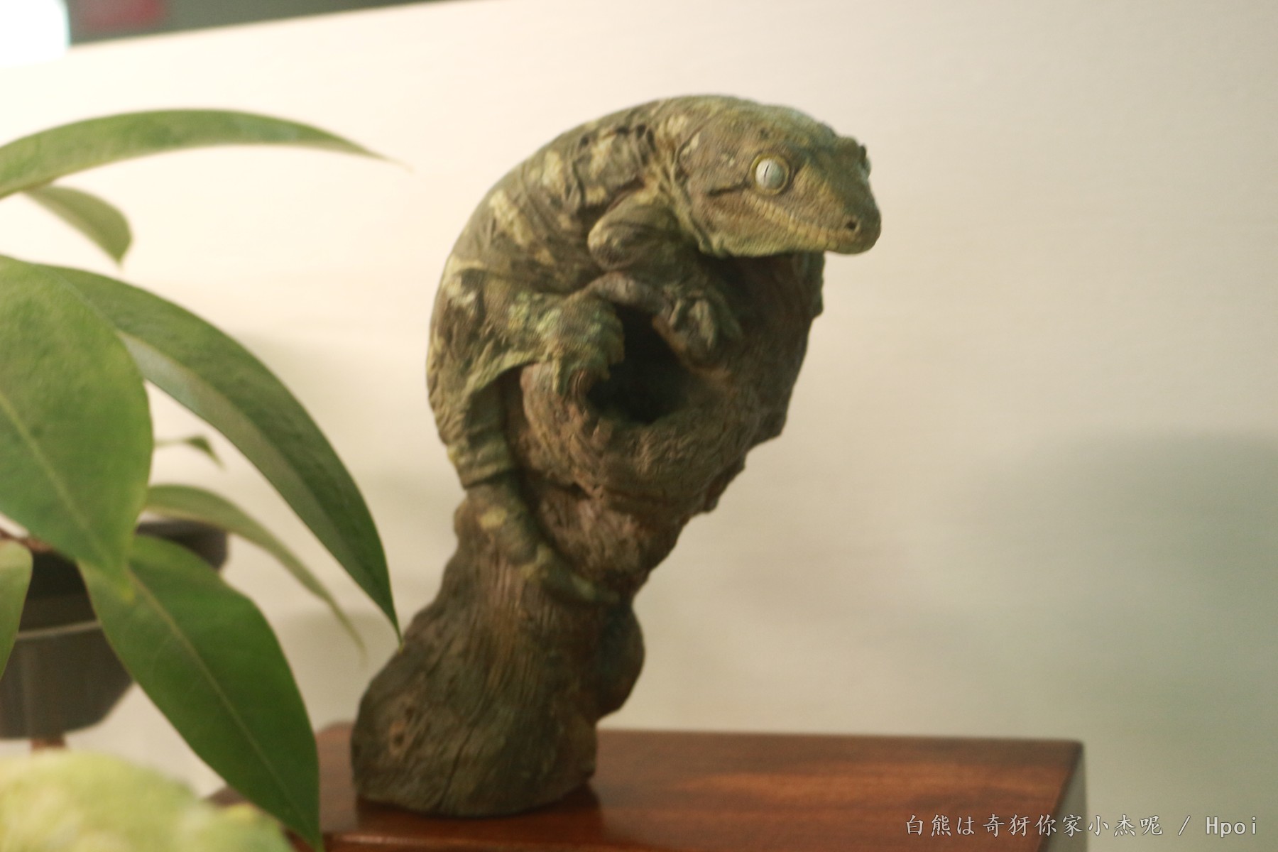 wf场照-E7 | Hpoi手办维基