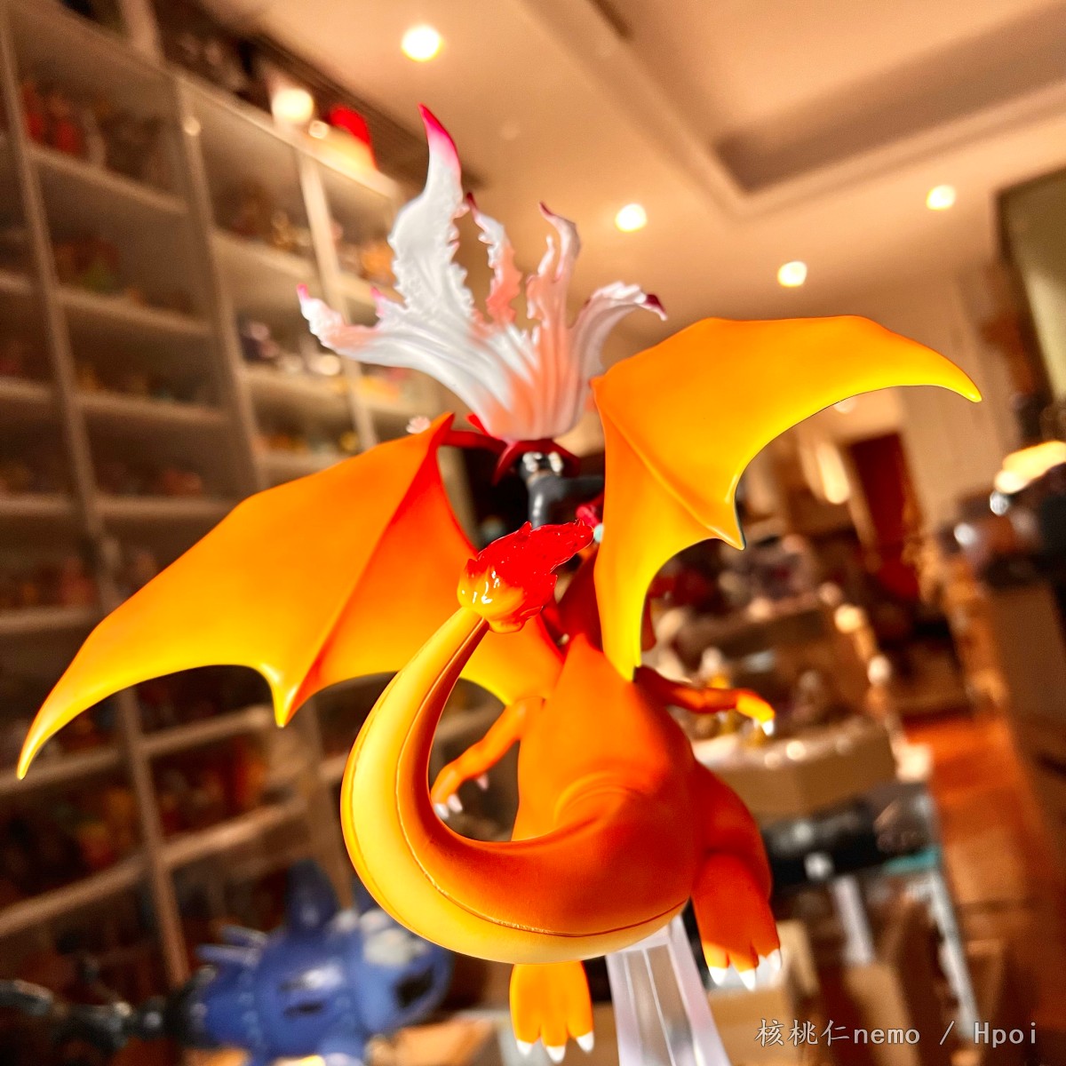 相册:喷火龙进化组 by 核桃仁nemo | Hpoi手办维基