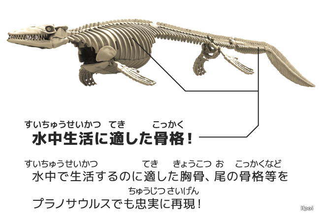 恐龙拼装模型 沧龙 | Hpoi手办维基