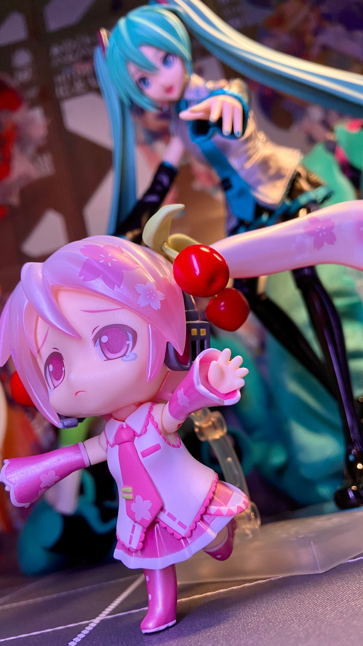 相册:樱miku by 吞噬 | Hpoi手办维基