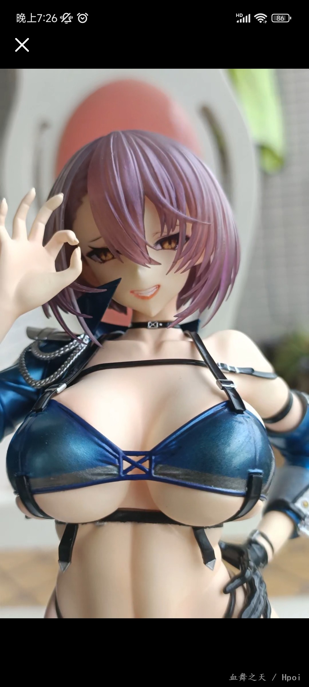 闲鱼ID天乐铭懿全款包模型1200 | Hpoi手办维基