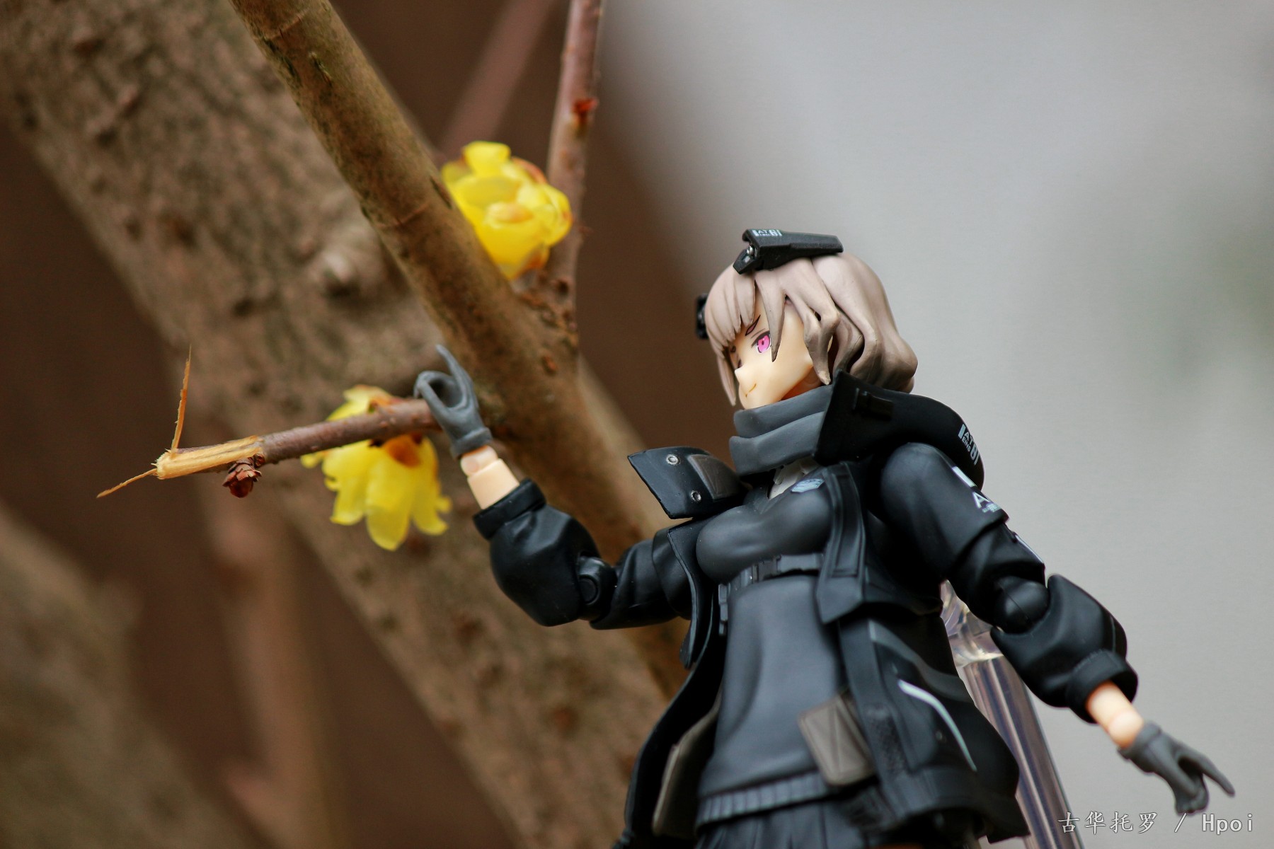 【figma】az-b 外拍 | Hpoi手办维基