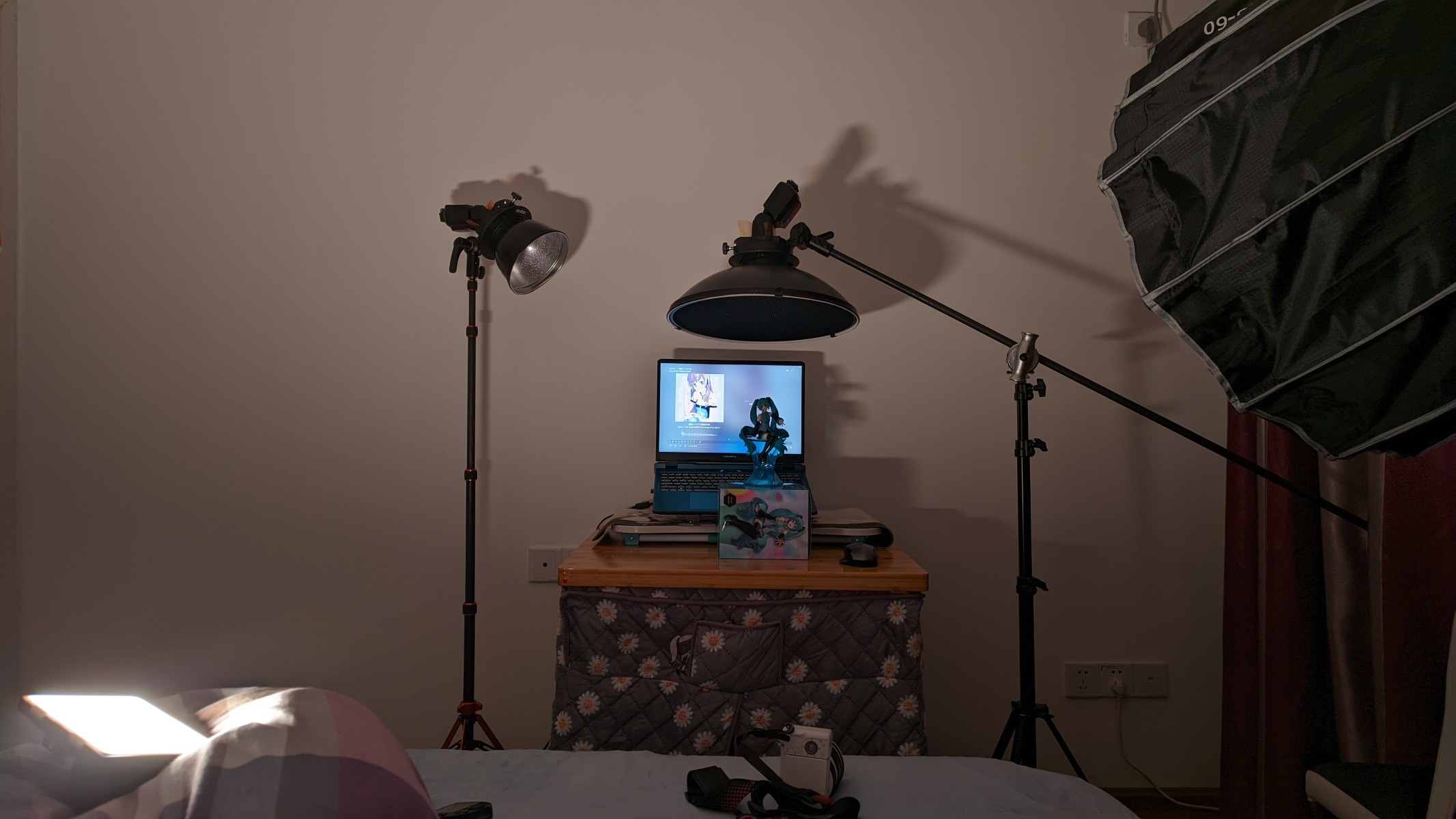 入手最喜欢的一只公式葱 | Hpoi手办维基