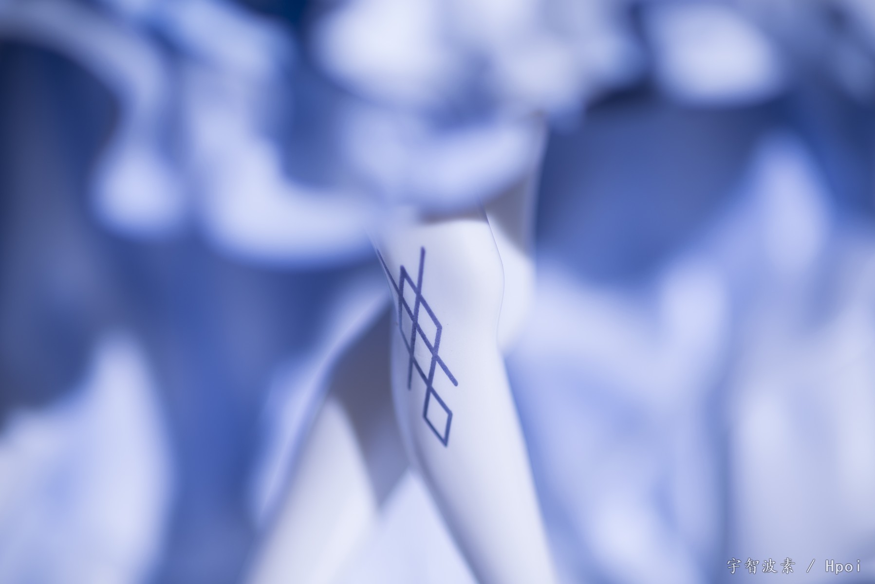 初摄-雪未来2019 | Hpoi手办维基