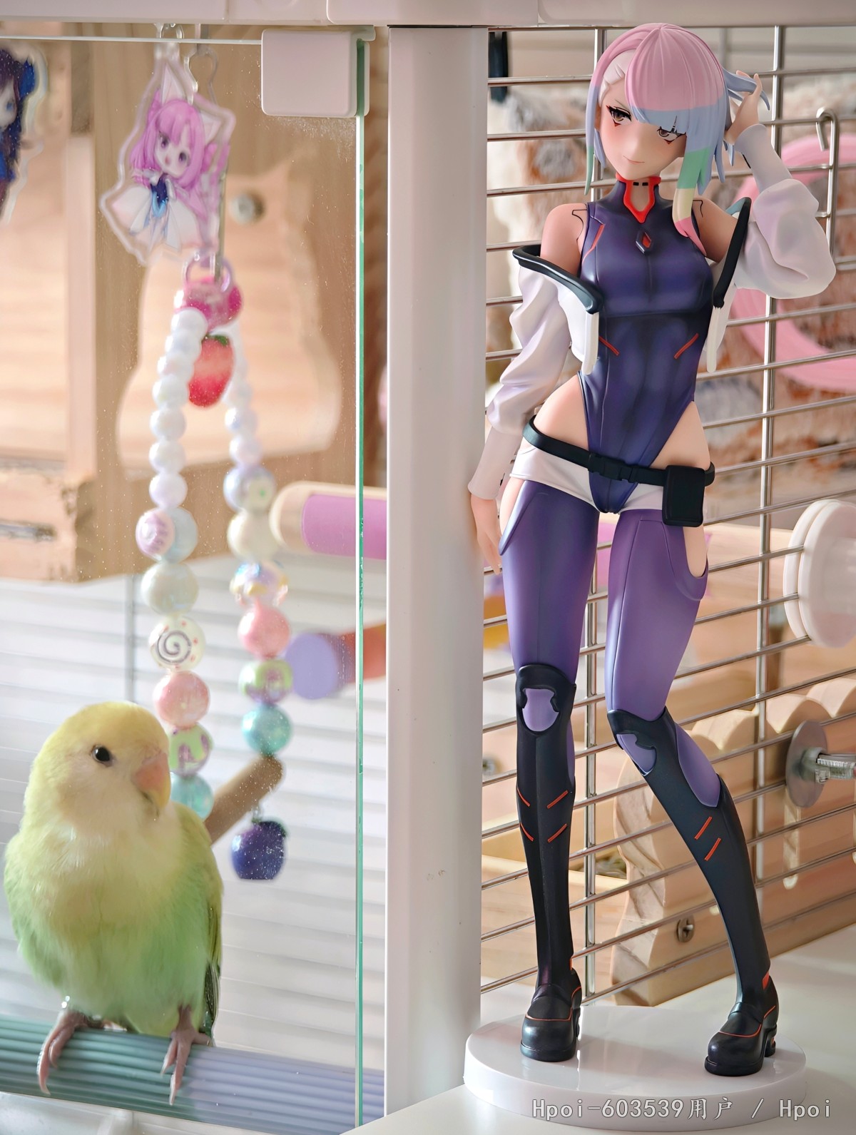 相册:Lucy by Hpoi-603539用户 | Hpoi手办维基