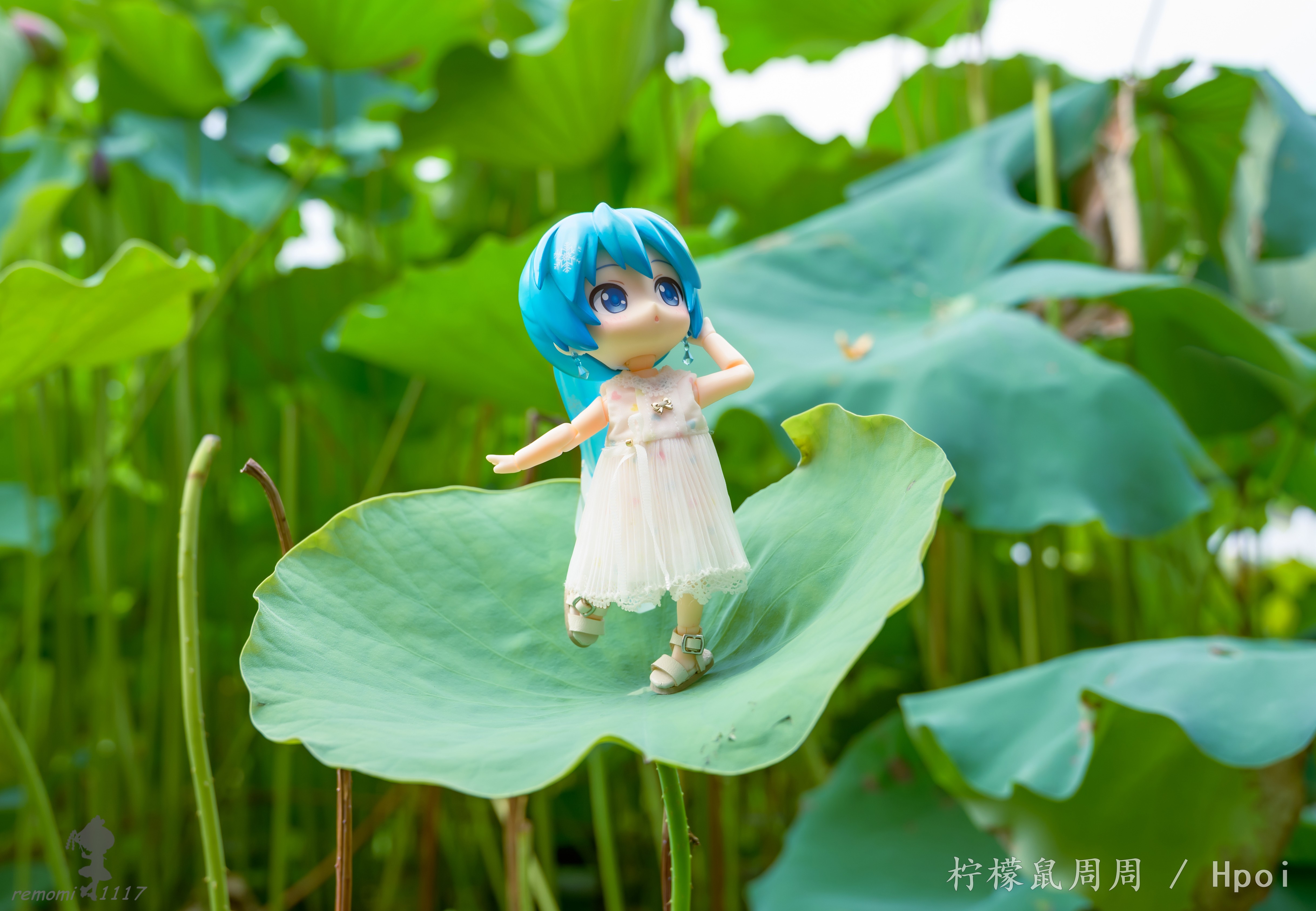 夏季带阿雪出去玩？ | Hpoi手办维基