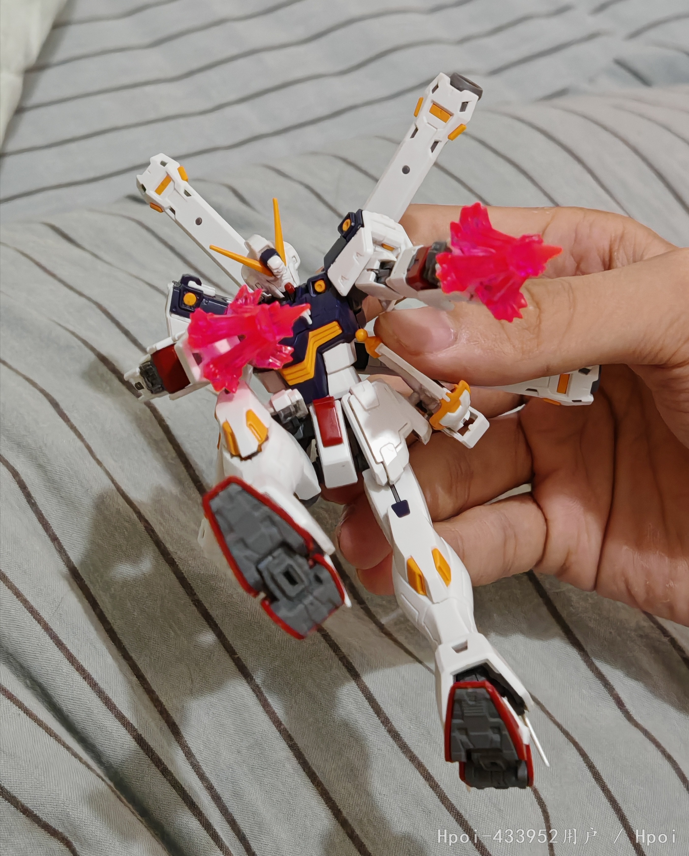 rg 海盗 | Hpoi手办维基