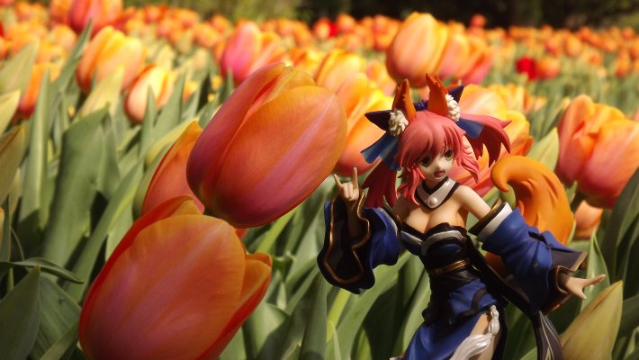 Fate/EXTRA Caster | Hpoi手办维基